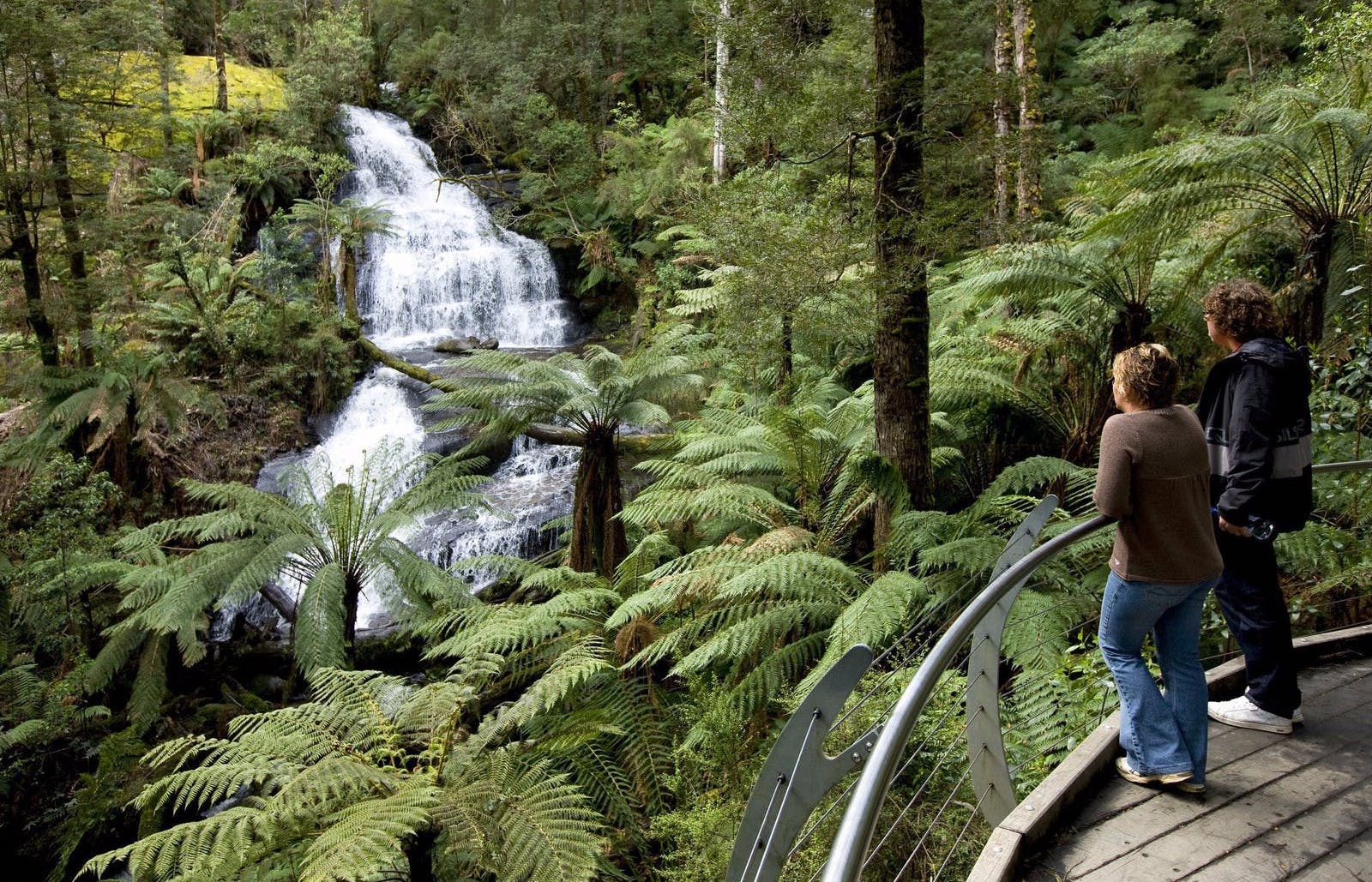 The perfect trail: Your ultimate guide to Melbourne’s best hiking and ...