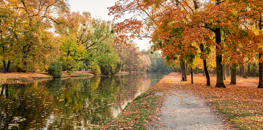 A season of colour: The top spots to watch the leaves change this autumn